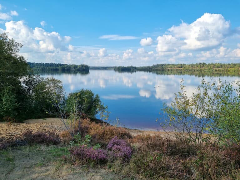 Nationalpark De Maasduinen - Wanderung um das Reindersmeer