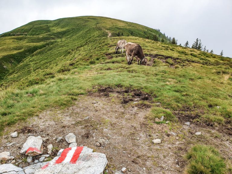 KAT-Walk Alpin: Wanderung durch die Kitzbüheler Alpen