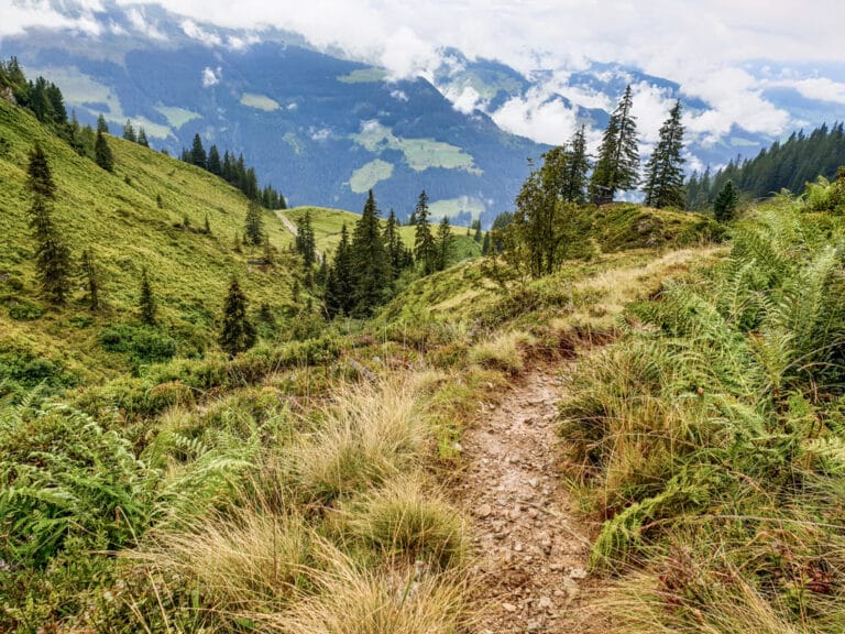 KAT-Walk Alpin: Wanderung durch die Kitzbüheler Alpen
